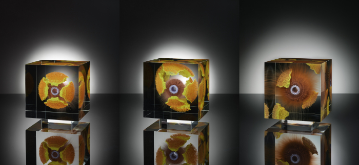 Taking glass design into the third dimension - Contemporary Glass Society