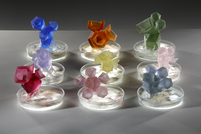 Modular making in the third dimension - Contemporary Glass Society