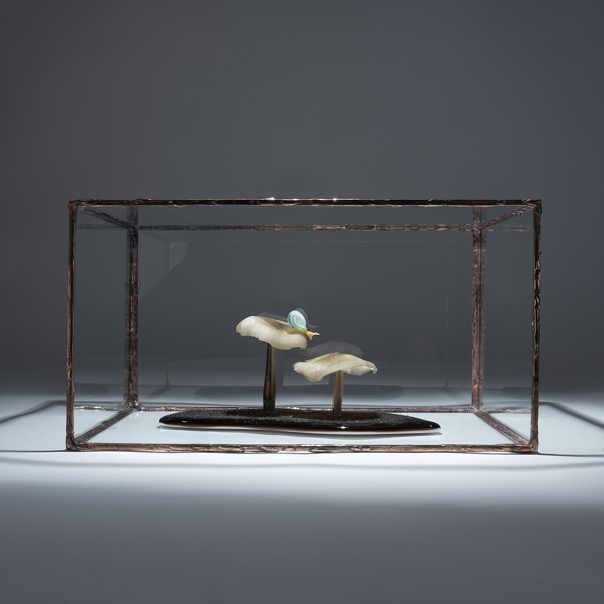 The Contemporary Glass Society