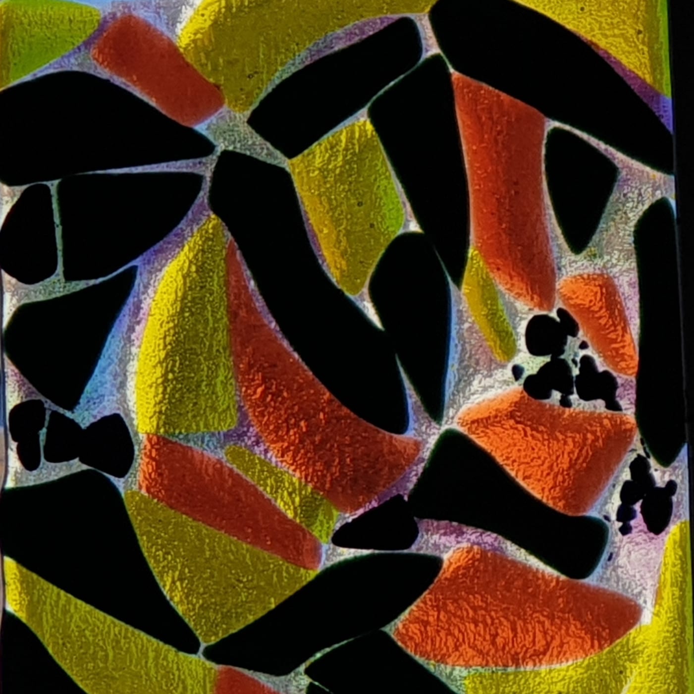 Elana Tree - Contemporary Glass Society