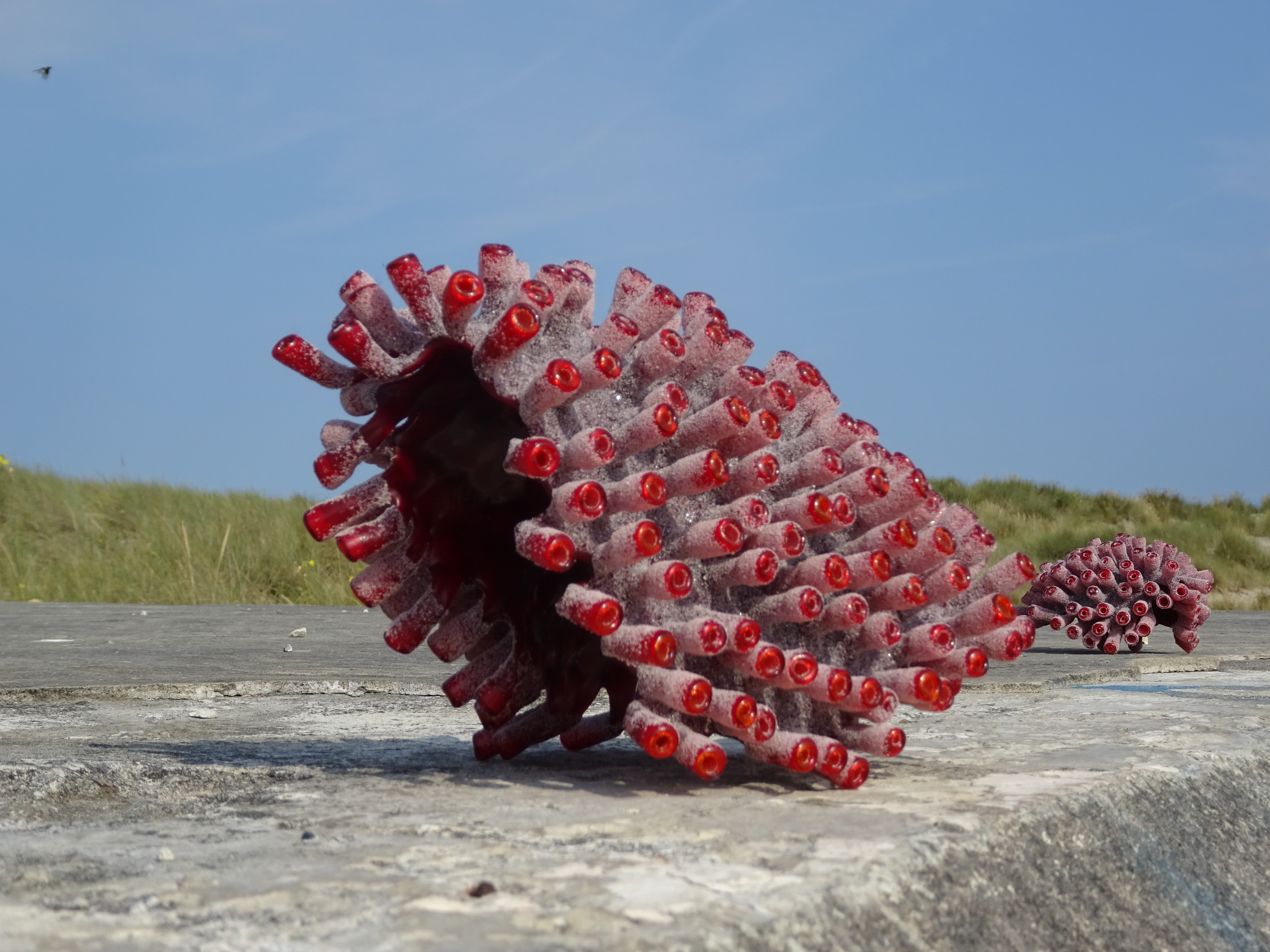 Notebaert Anne - Contemporary Glass Society